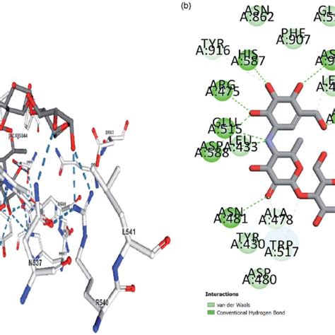 Interaction Profile Of Gtfc D Acarbose A From 3aic Pdb Structure