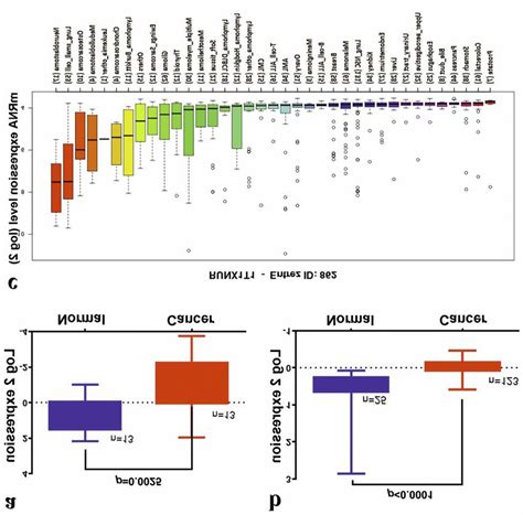 Runt Related Transcription Factor 1 Runx1t1 Is Down Regulated In Download Scientific Diagram