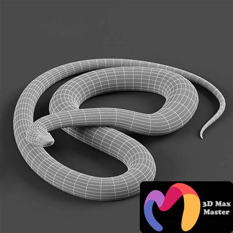 Tiger Python 3d Max 3dmaxter
