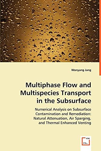 Multiphase Flow And Multispecies Transport In The Subsurface Numerical Analysis On Subsurface