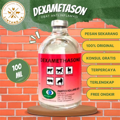 Jual Obat Anti Infamasi 100ml Dexametason 100ml Injeksi Shopee