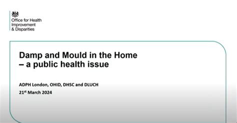 Damp And Mould Adph London