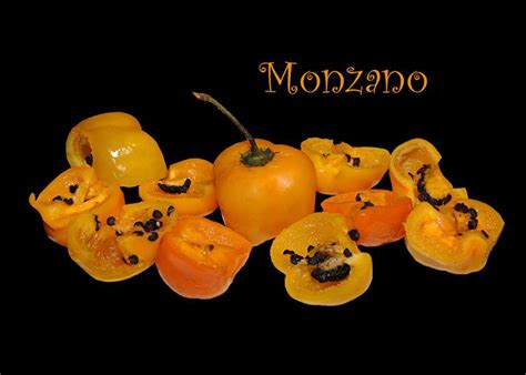 Manzano Pepper Hot Sauce Stuffed Peppers Hot Sauce Sauce