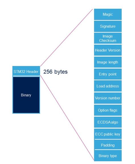 Stm32 Header For Binary Files Stm32mpu