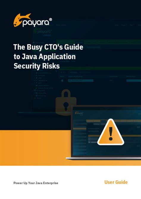 The Busy Ctos Guide To Java Application Security Risks Payara