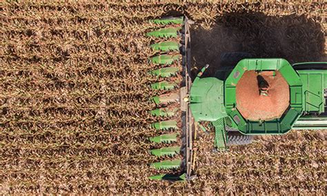 Milo Heads Williams Farm Machinery