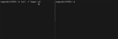 using tail command in linux [5 examples]