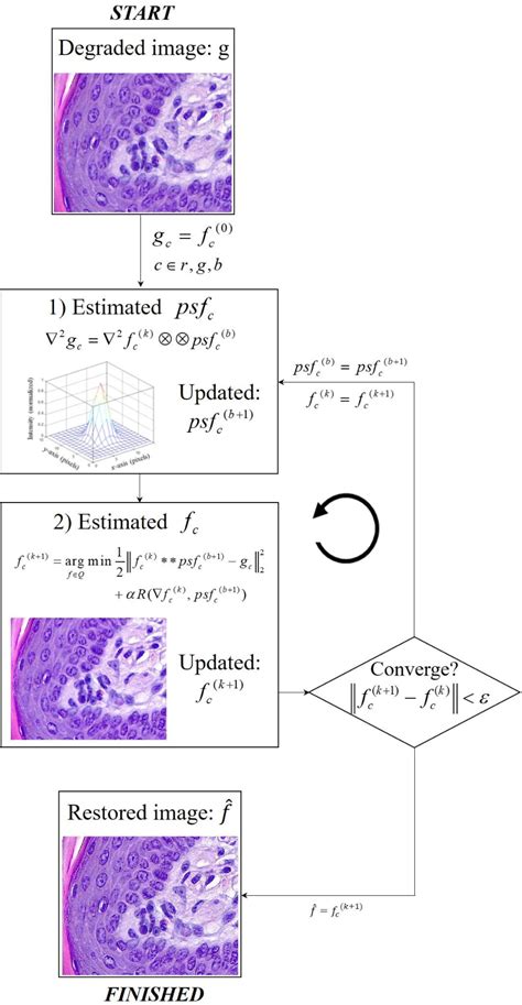 Figure 1 From Blind Deconvolution Based On Compressed Sensing With Bi