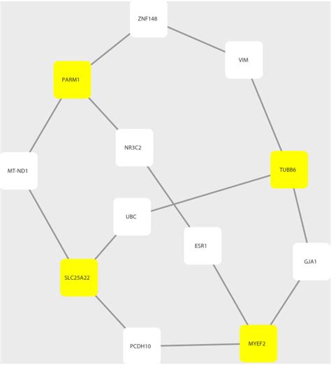 ppi network of shortest paths among the four mrmr identified genes we