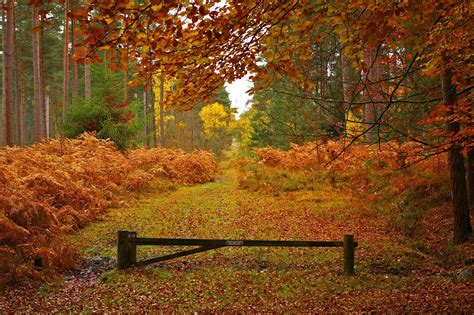 Autumn England Countryside Wallpapers Wallpaper Cave