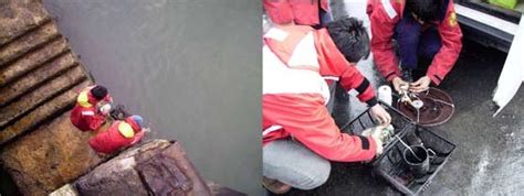 Installation Of Pots In A Port Download High Resolution Scientific Diagram