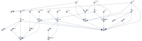 The Student Perspective Wolfram Summer School 2022—wolfram Blog