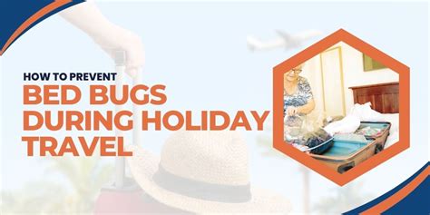 How To Prevent Bed Bugs During Holiday Travel Heat Rx
