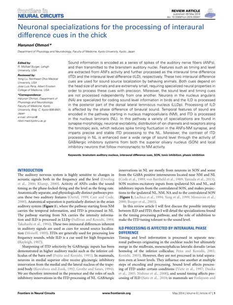Pdf Neuronal Specializations For The Processing Of Interaural Difference Cues In The Chick