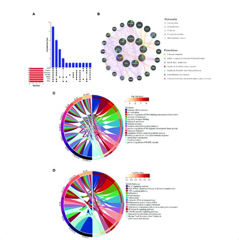 A The Venn Diagram Shows That Seven Algorithms Have Screened Out Nine