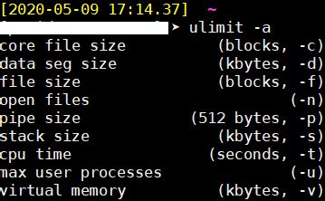 Execute OS Command From SAP Frontend BASIS GURU