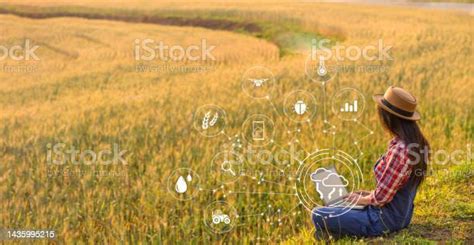 스마트 농업 개념 밀밭의 배경에 기술 디지털 태블릿을 가진 농부 전문 농부들은 농장을 관리하기 위해 사물 인터넷 컴퓨터 시스템을 사용합니다 농업 현대 아이디어 수확에 대한