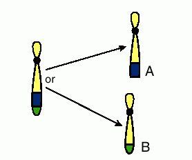 Deletion Definition Of Deletion By Medical Dictionary