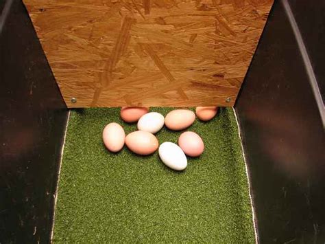 Building A Roll Away Nest Box The Southern Agrarian