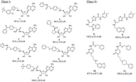 Identification Of Dot1l Inhibitors By Structure Based Virtual Screening Adapted From A