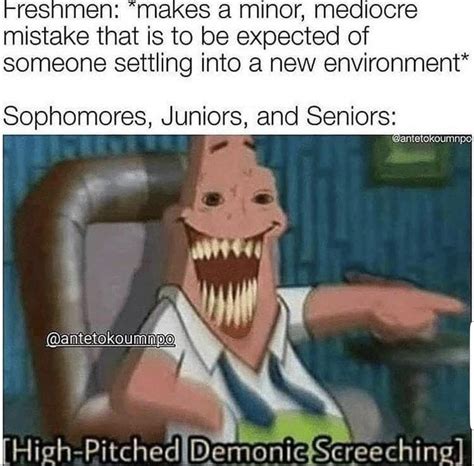 Sophomore Meme
