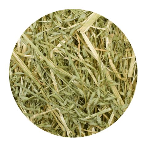 Rr Rye Grass 1kg Work Horse Tack