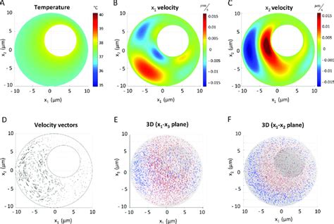 Simulation Results For Two And Three Dimensional Spherical Cell Download Scientific Diagram