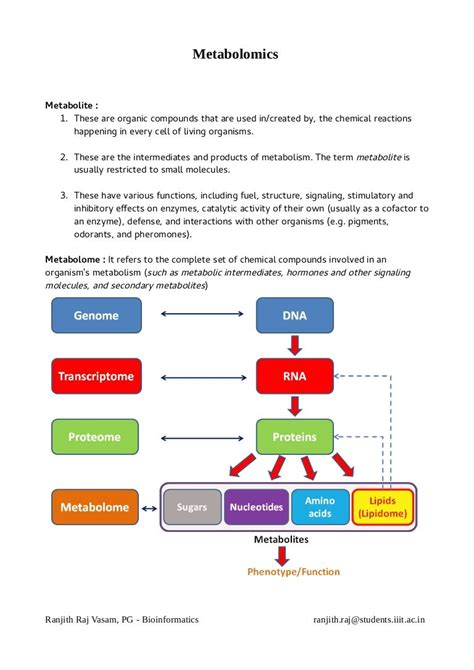 A Brief Introduction To Metabolomics