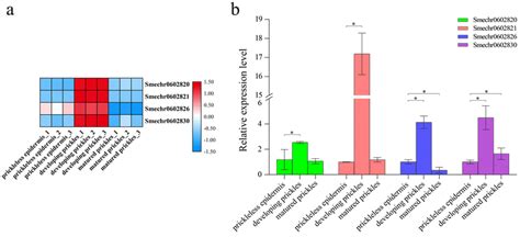 Heatmap Analysis And Qrt Pcr Validation Of The Degs Within The Pl Locus