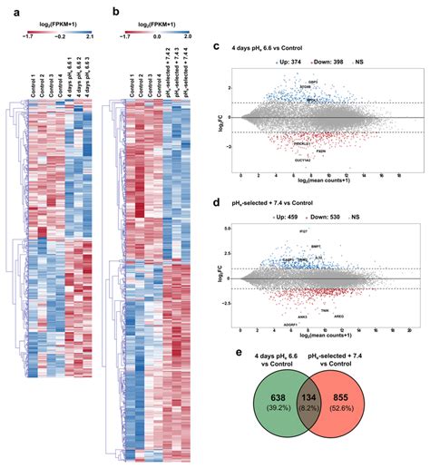 Differential Transcriptomic Profiles In Panc 1 Cells In Response To