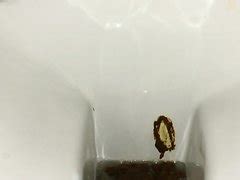 Quick Thick Dump Video Thisvid Com