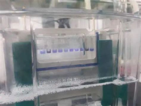 手把手教学——western Blot全流程实验步骤及常见问题详解 哔哩哔哩