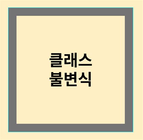 클래스 불변식 class invariant