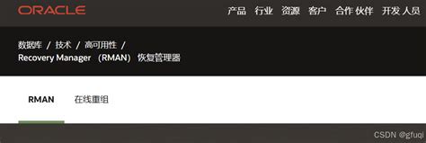 Oracle数据库备份工具，可以备份oracle数据库的工具有那些？oracle备份工具 Csdn博客