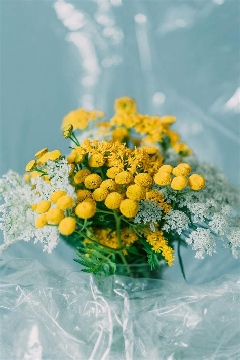 Swiss Arts Models Pictures Girls Photos Download The Best Free Swiss