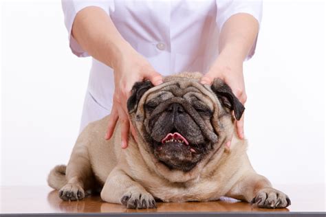 11 Self Care Tips For Busy Massage Professionals Massagetique