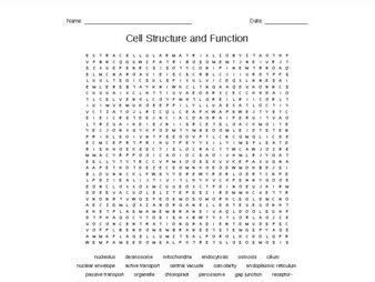 Cell Structure And Function Word Search For An Introduction To Biology Course Teaching Resources