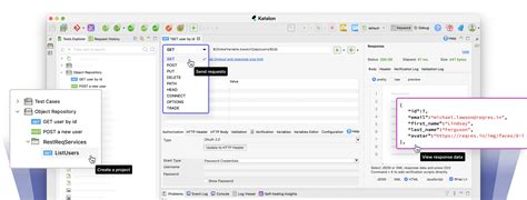 API Testing Postman Alternative