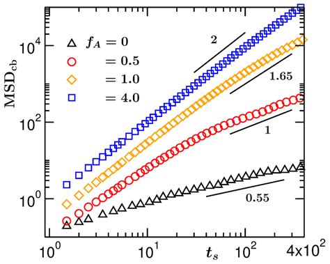 Log Log Plot Of The Mean Squared Displacements Of The Central Monomer