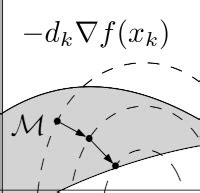Nonlinear Optimisation Algorithms