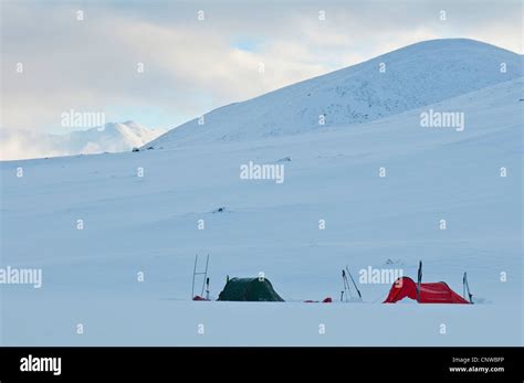 Tent Camp In Snow Sweden Lapland Norrbotten Sarek National Park