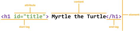 HTML Attributes She Codes Australia Tutorials