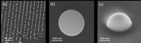 Geometry Characterization Of Se Structures A Sem Image Of Array B
