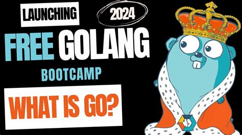 Episode 1 What Is Go An Introduction To Golang Golanguage Freebootcamp Indepth