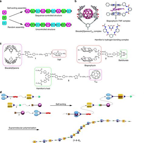 Supramolecular Terpolymerization A Schematic Representation Of The Download Scientific Diagram