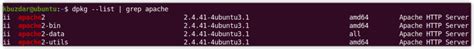 How To List Installed Packages In Ubuntu LinuxWays