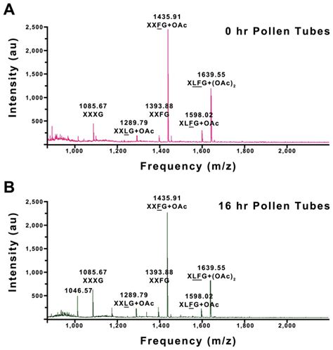 A Shows Maldi Tof Ms Analysis Of Endo Glucanase Generated Xyg