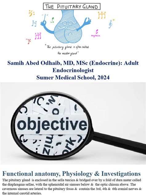 Pituitary And Hypothalamaus Pdf Growth Hormone Glands