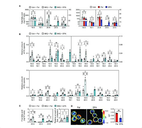 Epa Modulates Lipid Composition And Dynamics Of Cellular Membrane In