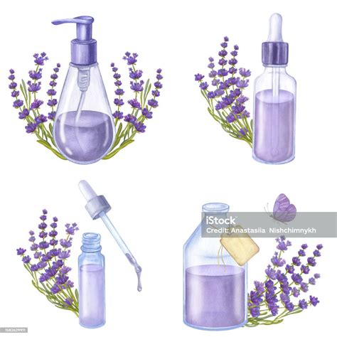 바이올렛 라벤더 꽃 에센셜 오일 화장품 병을 설정하십시오 손으로 그린 수채화 그림은 흰색 배경에 분리되어 있다 스티커 로고 인쇄 엽서 초대장 개체 그룹에 대한 스톡 벡터